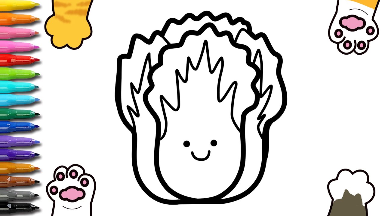 How to draw a cabbage for children | drawing a cabbage for kids | Easy ...