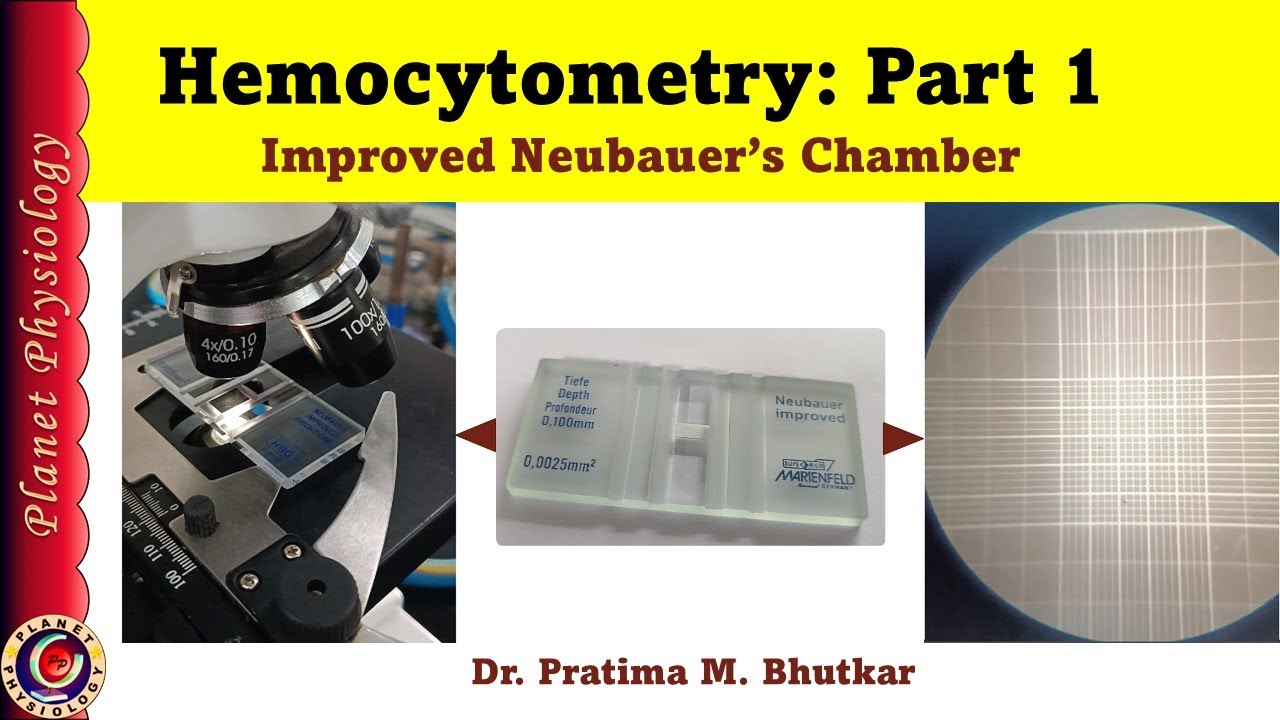 Hemocytometry Part 1 | Neubauer's Chamber - YouTube