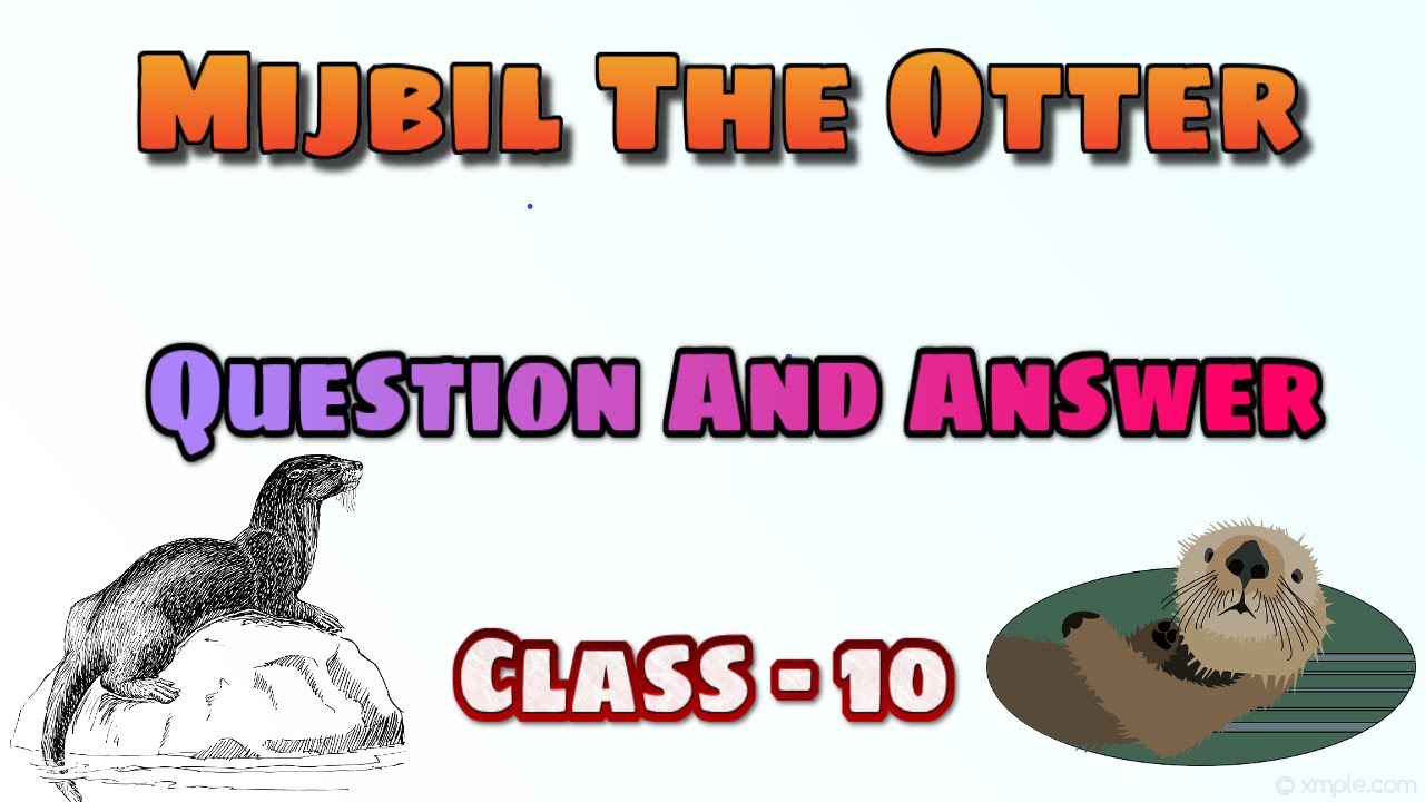 Mijbil The Otter Question And Answer English Class 10 Chapter 8 mijbil-the-otter-question-and-answer-english-class-10-chapter-8
