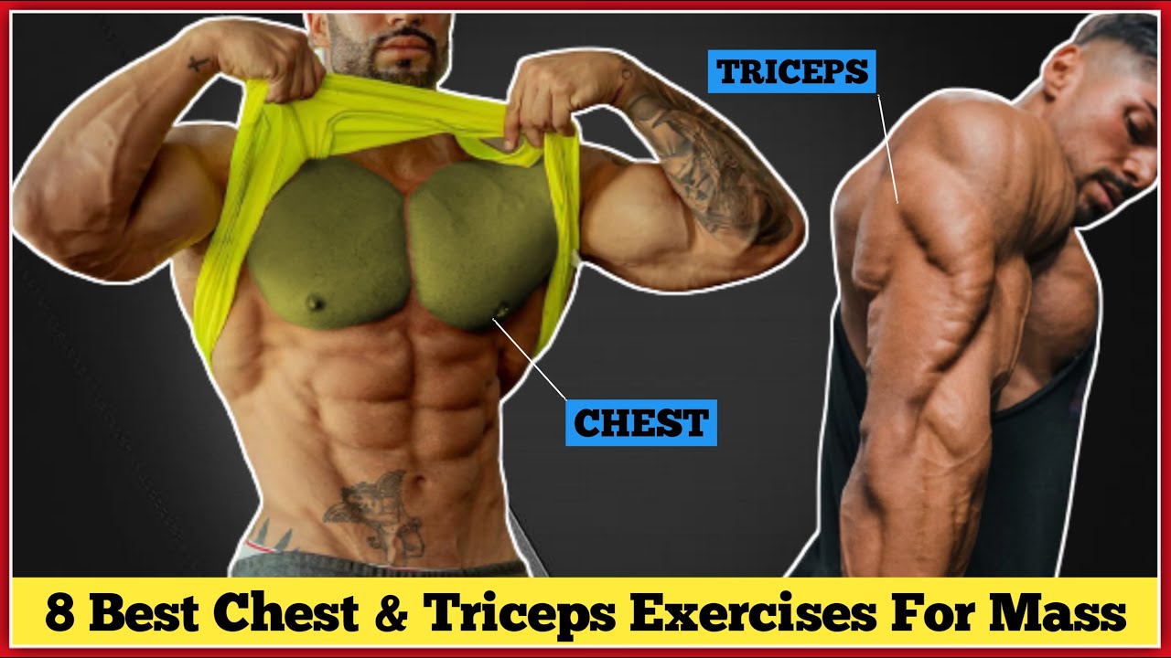 8 Best Chest And Triceps Workout For Mass | Chest And Triceps Exercise ...