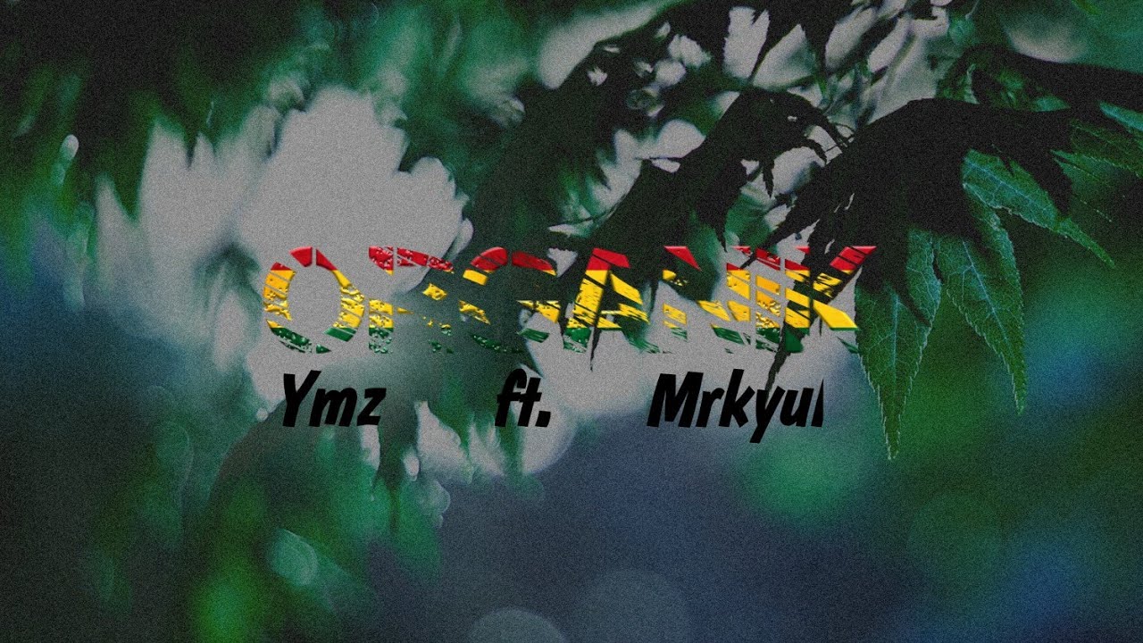 Ymz - Organik feat Mrkyul (official lyrics video) - YouTube