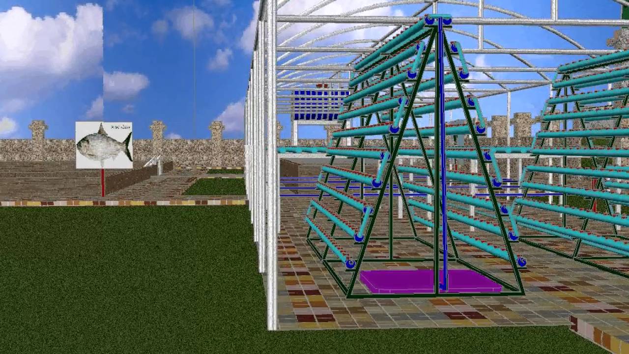 Agriculture Farms Design (Fishes, eel, Hydroponics) animation HD in ...