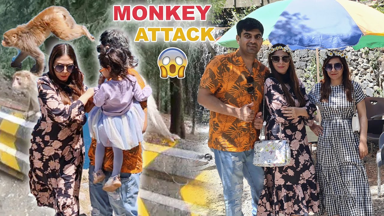 Nathia Gali Main Monkey Nay AttacK Kar Dia l Ayesha Kion Naraz Ho Gayi ...