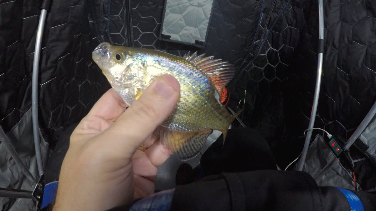 S1:E2 - The Struggle is Real | Western Wisconsin Early Ice | Panfish ...