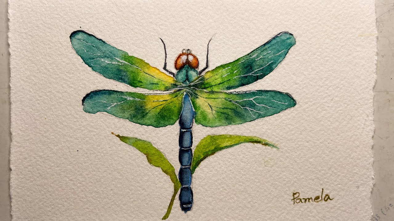 An Easy Watercolor Dragonfly Painting Tutorial - YouTube