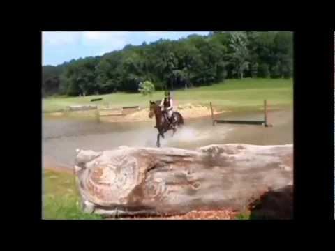 U2 Swedish warmblood FS, 2012