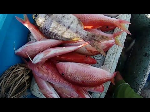 BAGONG HULING ISDA||PAUBUS NA YATA!ABAKAN|BUHAY DAGAT - YouTube