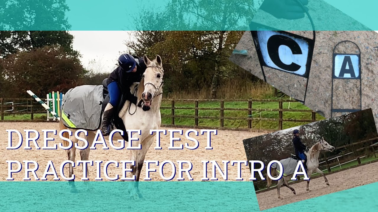 Dressage Test Practice for Intro A - Vlog 206 - Beth Endurance - YouTube