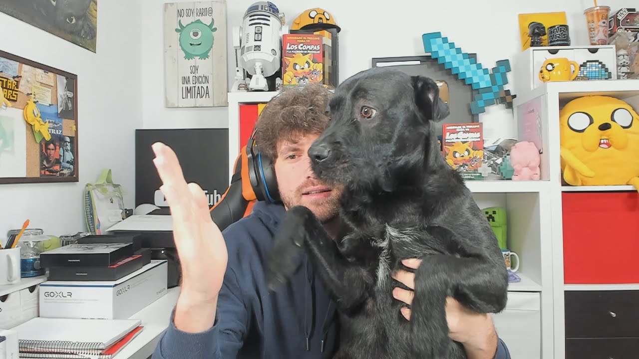 ¡MIKECRACK LE ENSEÑA TRUCOS A WILLYPERRO! 🥰🐕‍🦺 LO MÁS LINDO QUE VERAS ...