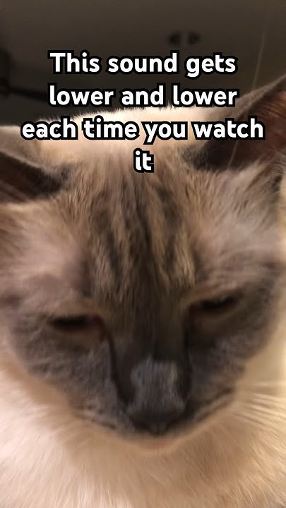 STUCK IN A INFINITY LOOP! - YouTube