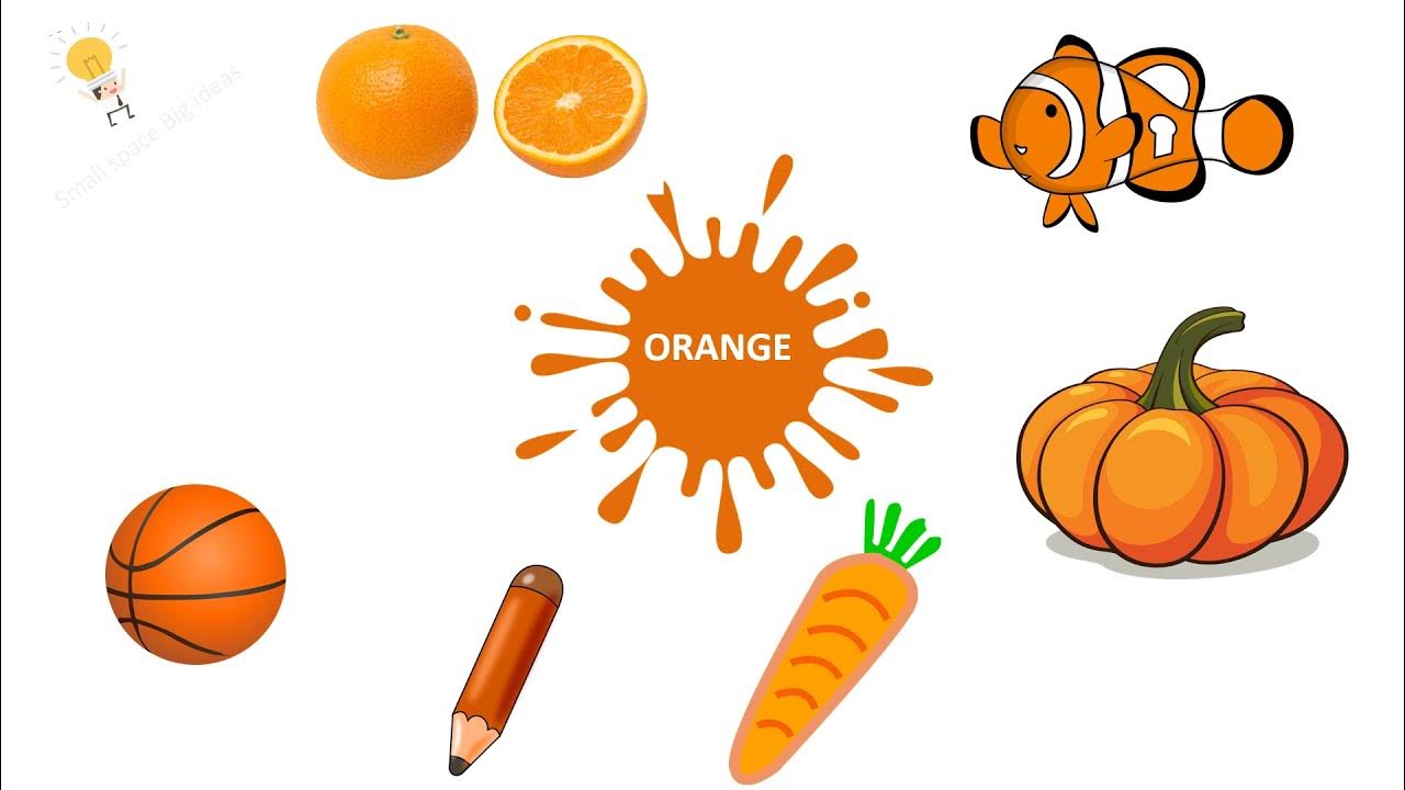 ORANGE Color | Identify colors | Learn Colors | Kindergarten, Pre ...