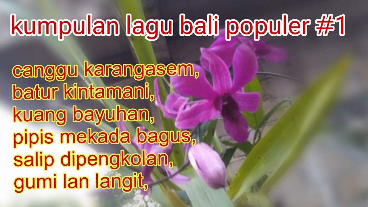 Kumpulan lagu bali 🔴 kuang bayuhan, batur kintamani, salip dipengkolan ...