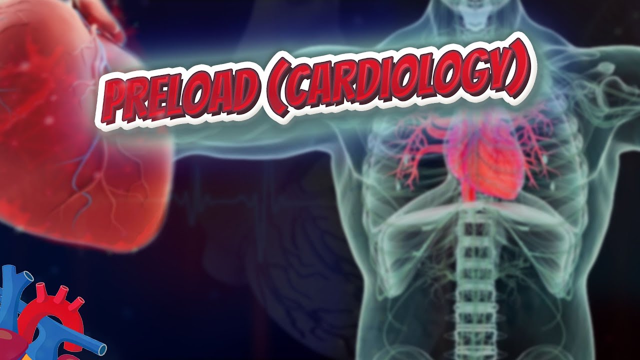 Preload cardiology - Human Heart and Cardiology ️ ️ ️🔊 - YouTube