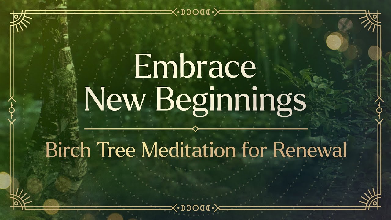 Embrace New Beginnings | Birch Tree Meditation for Renewal - YouTube