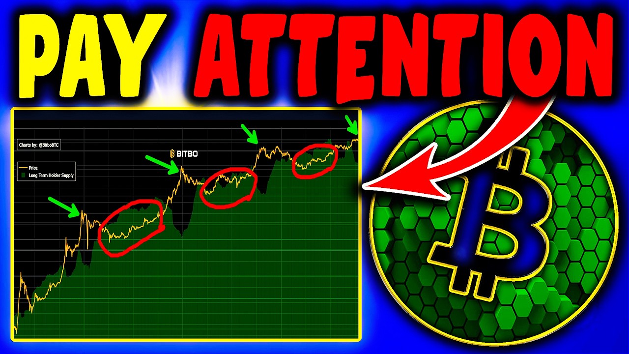 BITCOIN : The Truth They Don't Want You To Know 🟢 Bitcoin News Today ...
