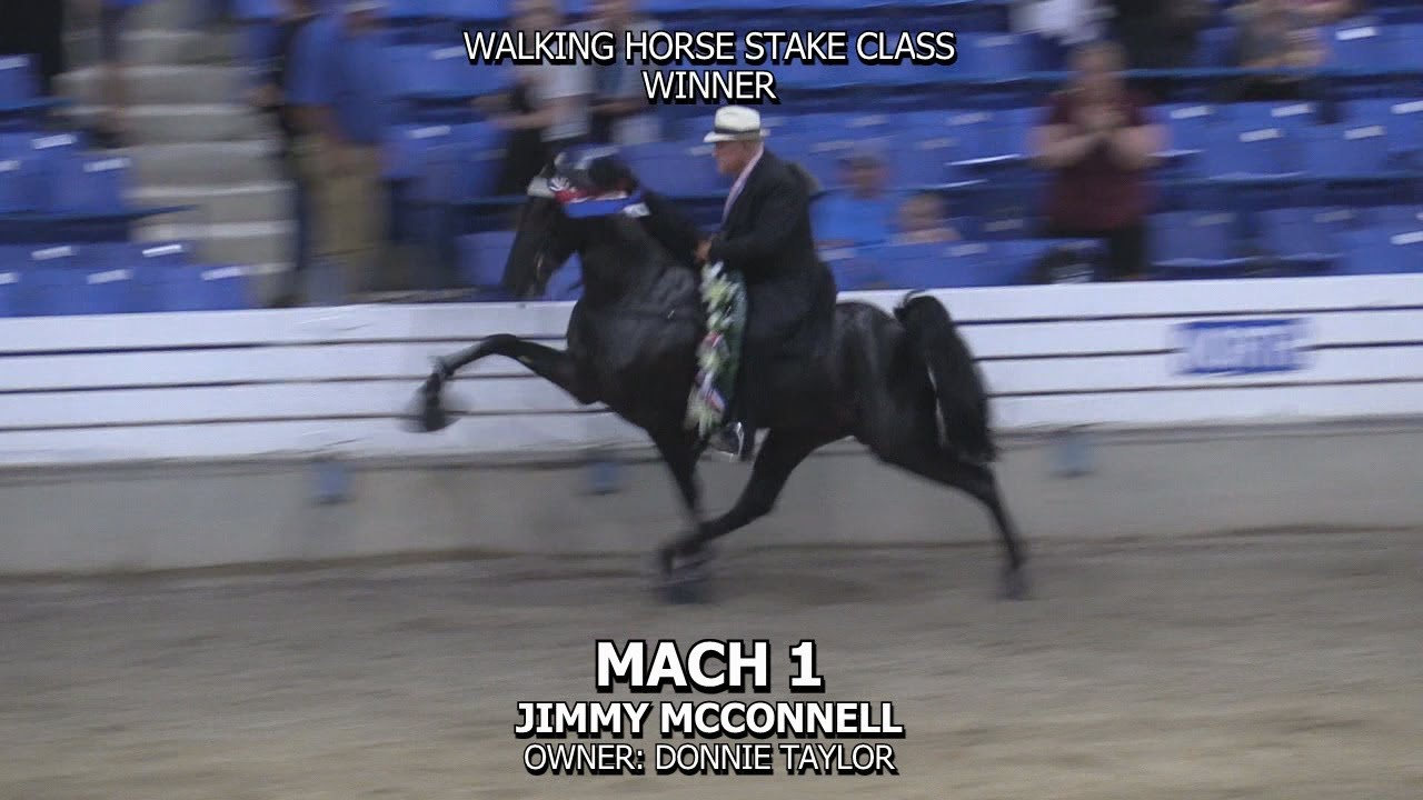 MACH 1 - 2021 CHRISTMAS IN JULY - YouTube