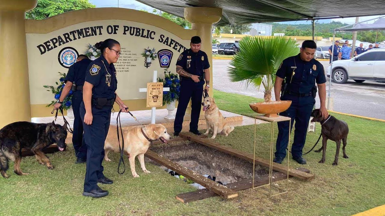 CNMI police investigate K-9 deaths - YouTube