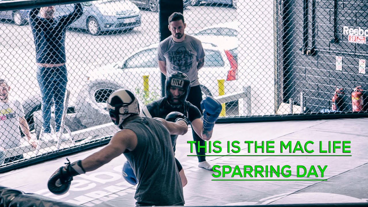 Conor McGregor: THIS IS THE MAC LIFE DOING THE WORK - YouTube