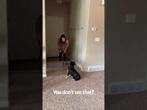 FAIL: INVISIBLE CHALLENGE - YouTube