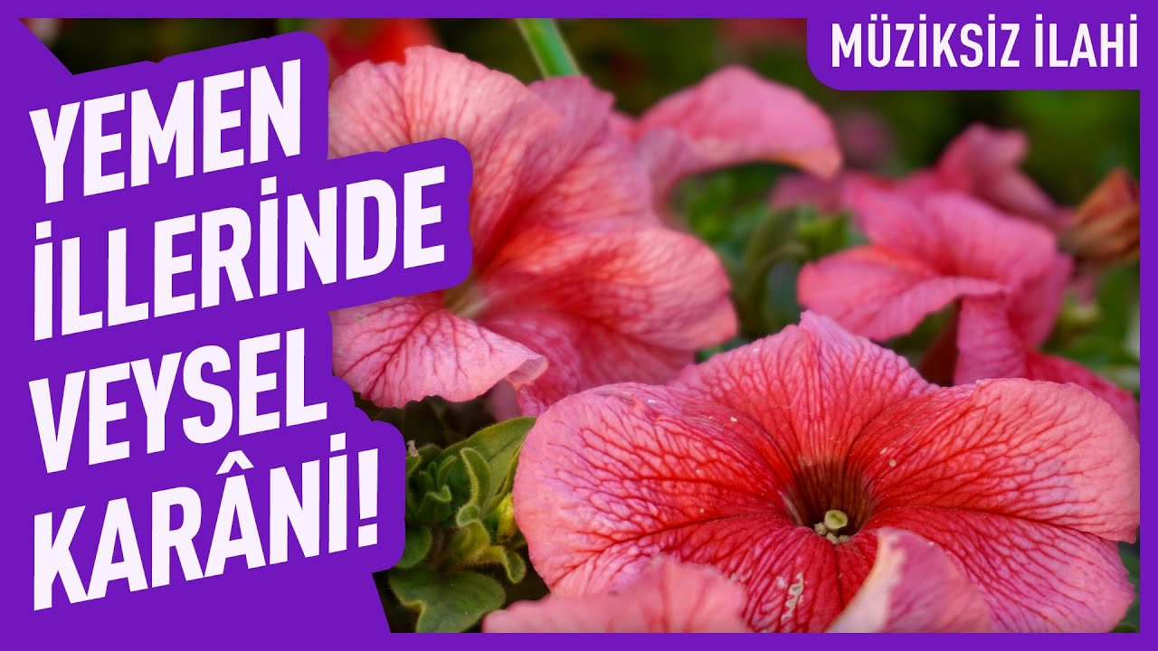 Yemen İllerinde Veysel Karâni | Müziksiz İlahi - YouTube
