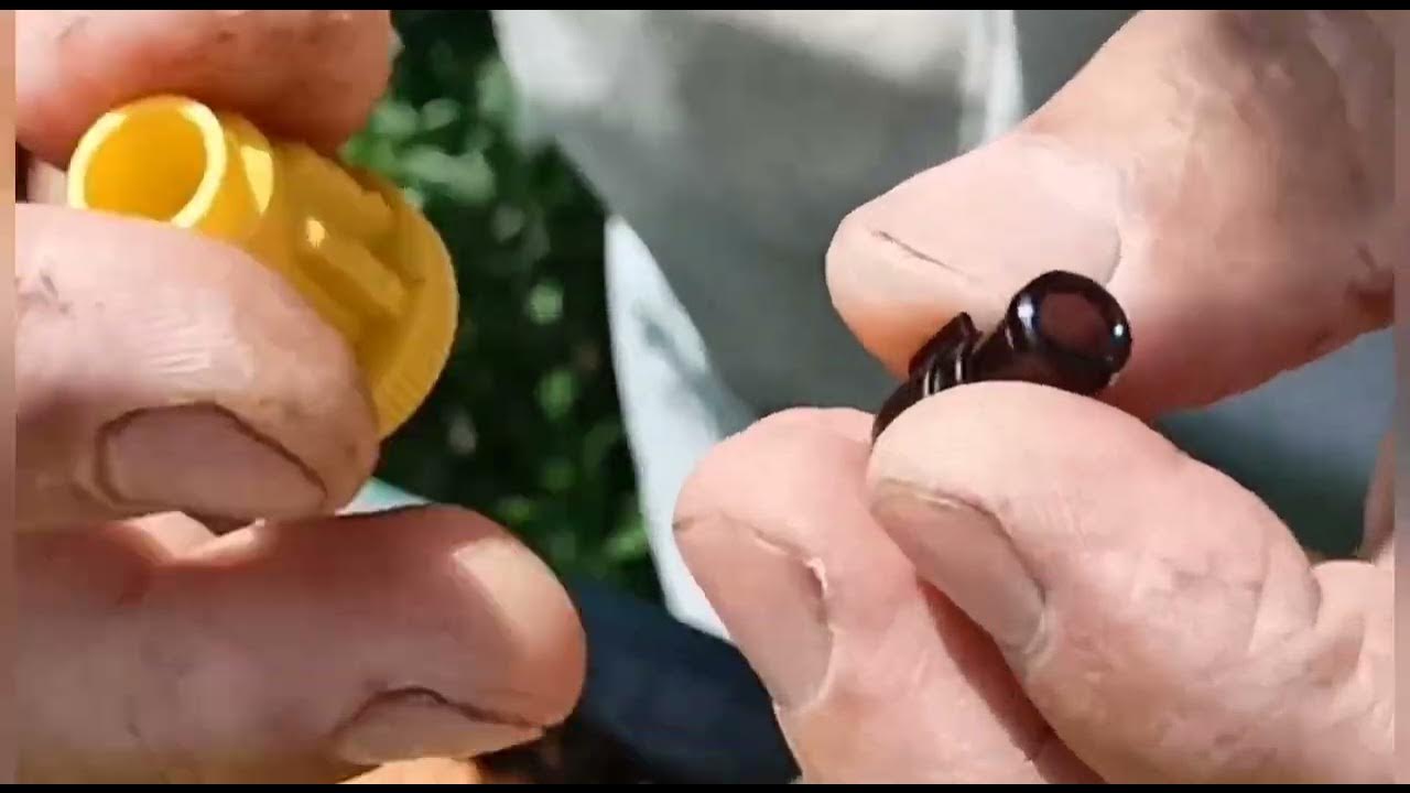 Джентерский сот , работаем - YouTube