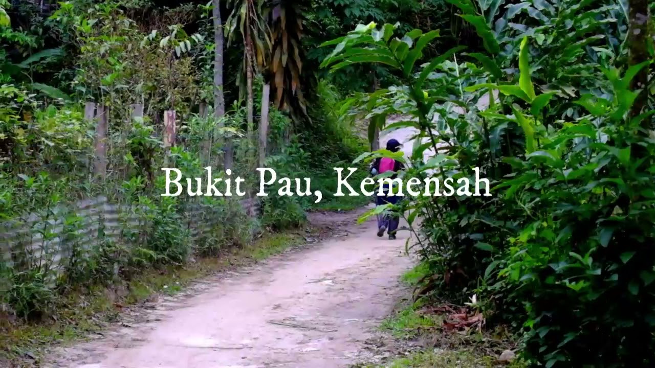 Bukit Pau Kemensah - YouTube