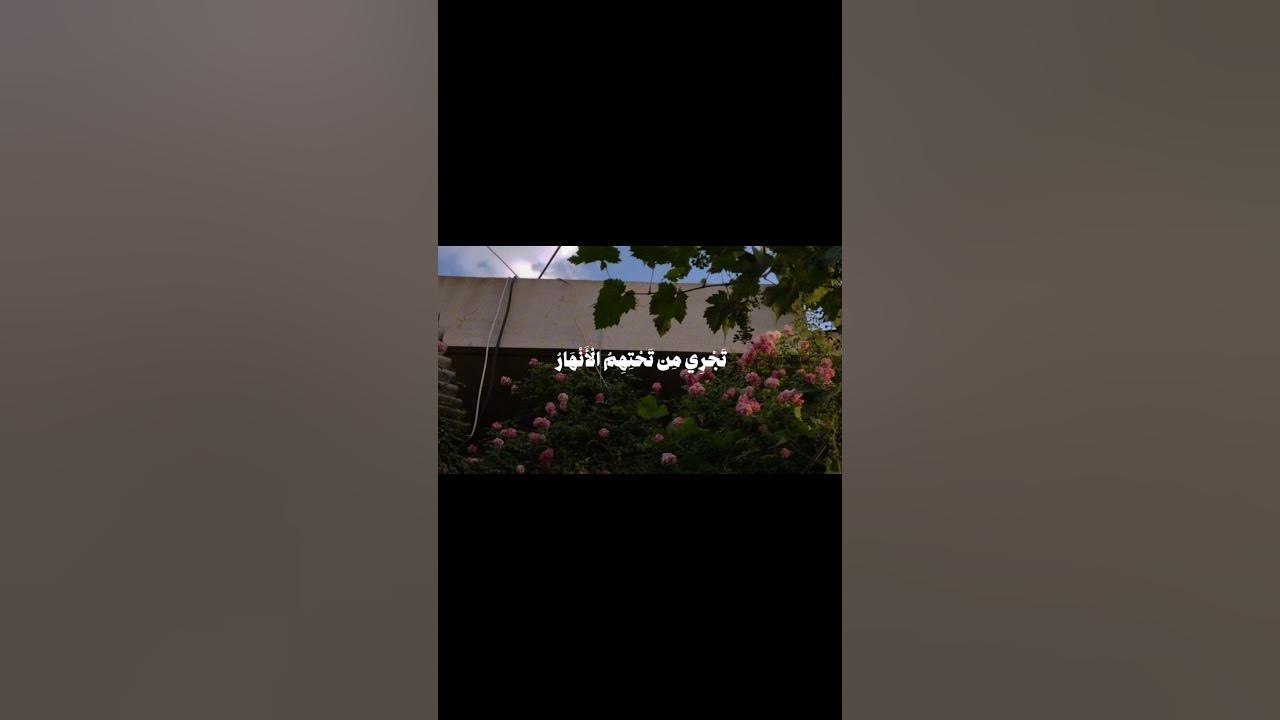 ان الذين امنوا وعملوا الصالحات انا لا نضيع اجر من احسن عملا Youtube