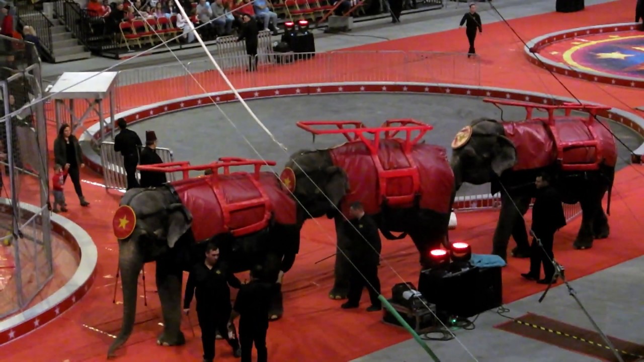 Carden Circus/Zor Shrine Circus Madison, WI 2/14/2020 - YouTube