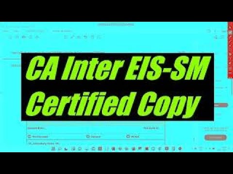 EIS-SM ANSWER SHEET | 73 MARKS| ICAI CERTIFIED COPY | CA INTER ...