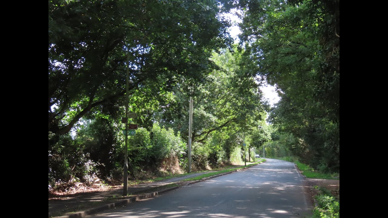 Come Outside - Street Lamps (2022 Re-visit) - YouTube