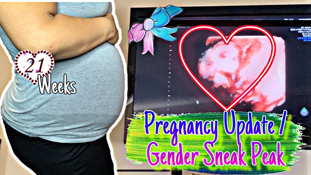 21 Weeks Pregnancy Update And First Look At Gender Youtube
