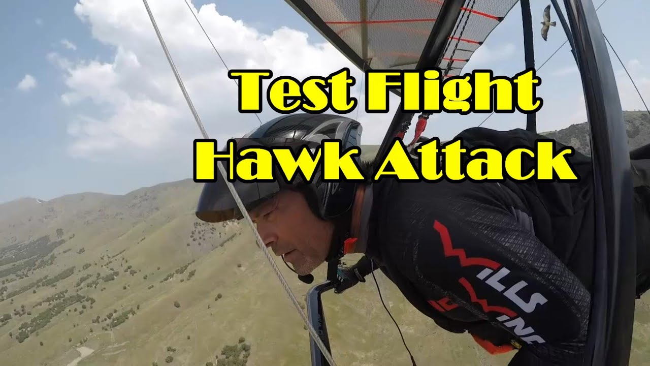 Test Flight/ Hawk Attack - YouTube