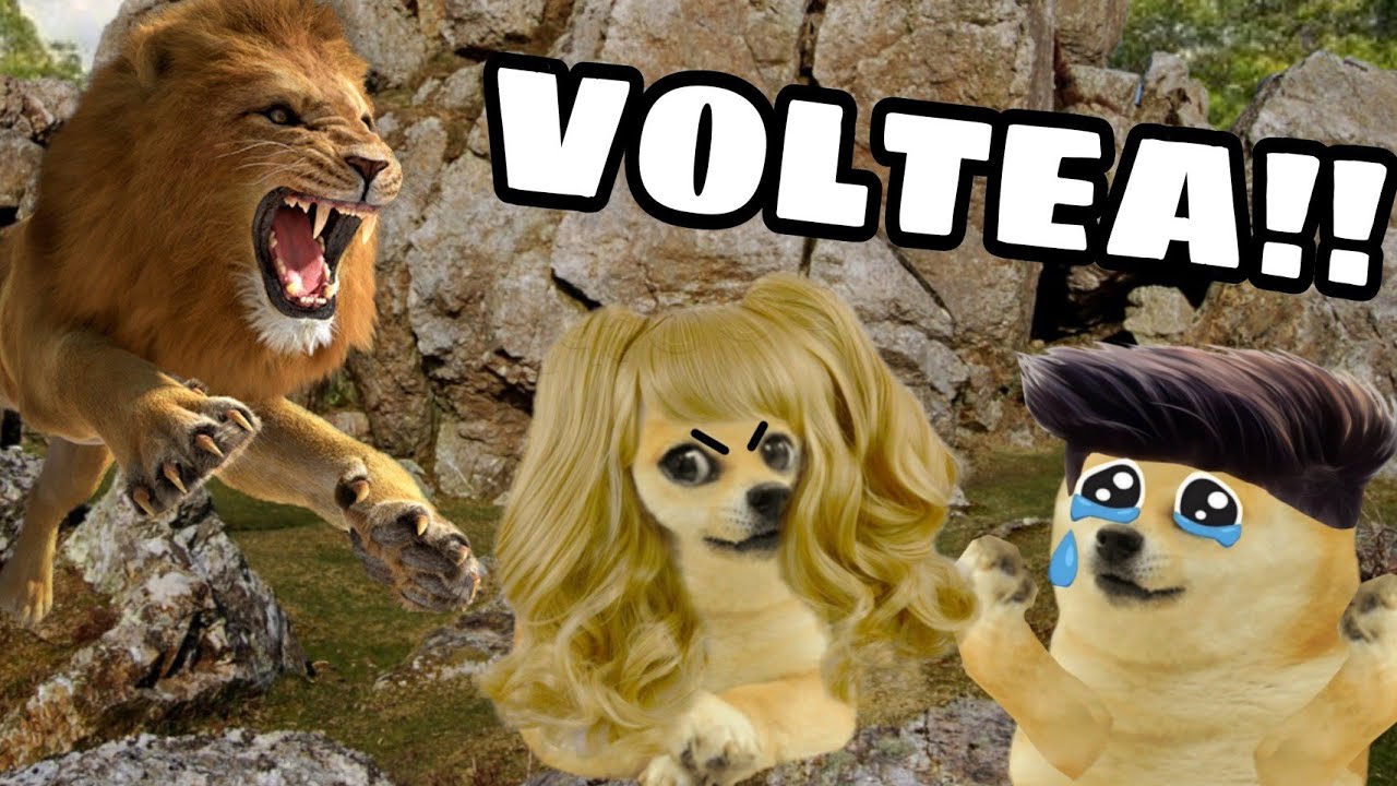 Niña con derecho es DEVORADA por un león - Hilos Con Cheems - YouTube