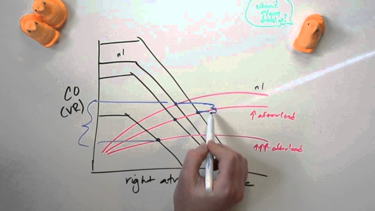 PEEP Overview - YouTube