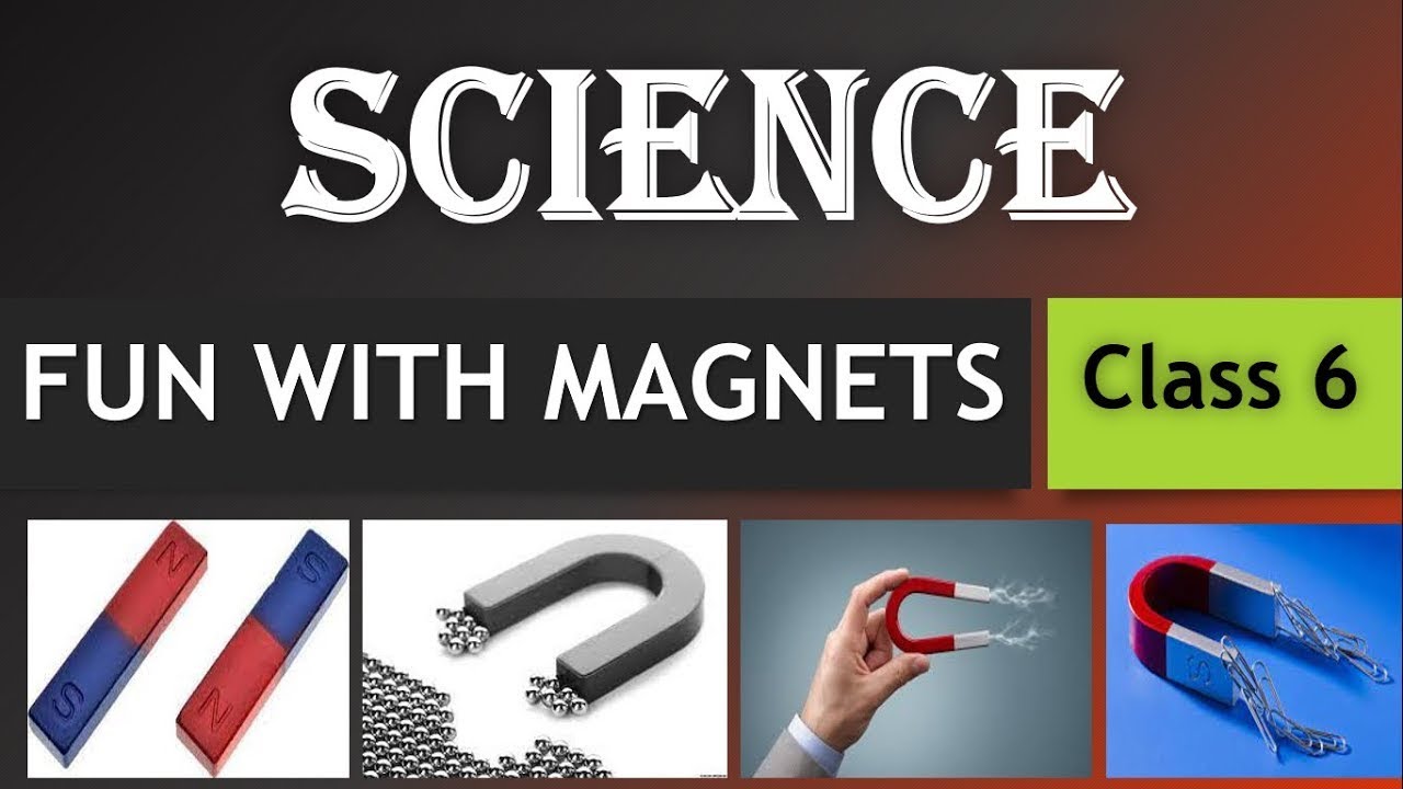 Fun with Magnets Part 3 Class 6 Science | NCERT Science Class 6 Chapter ...