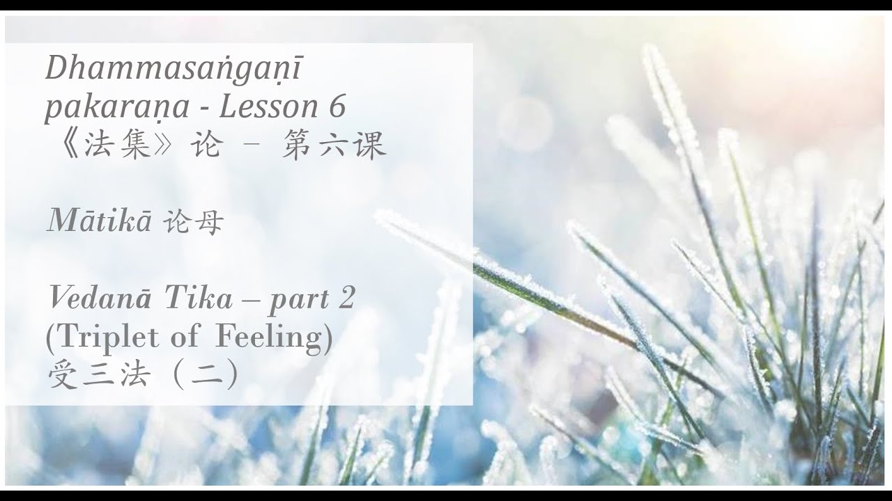 Dhammasaṅgaṇī pakaraṇa lesson 6 (English and Chinese) - 23.06.2024 ...