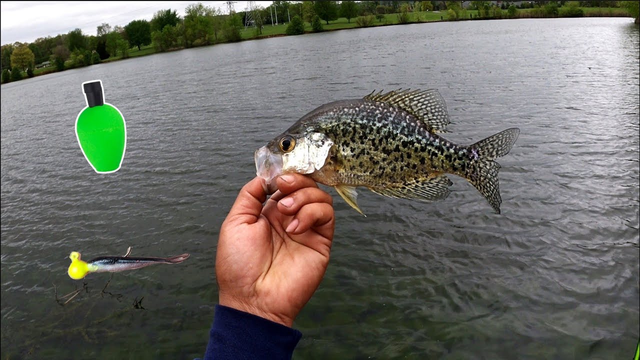 A Very EASY Technique to Catching MORE Crappies... - YouTube