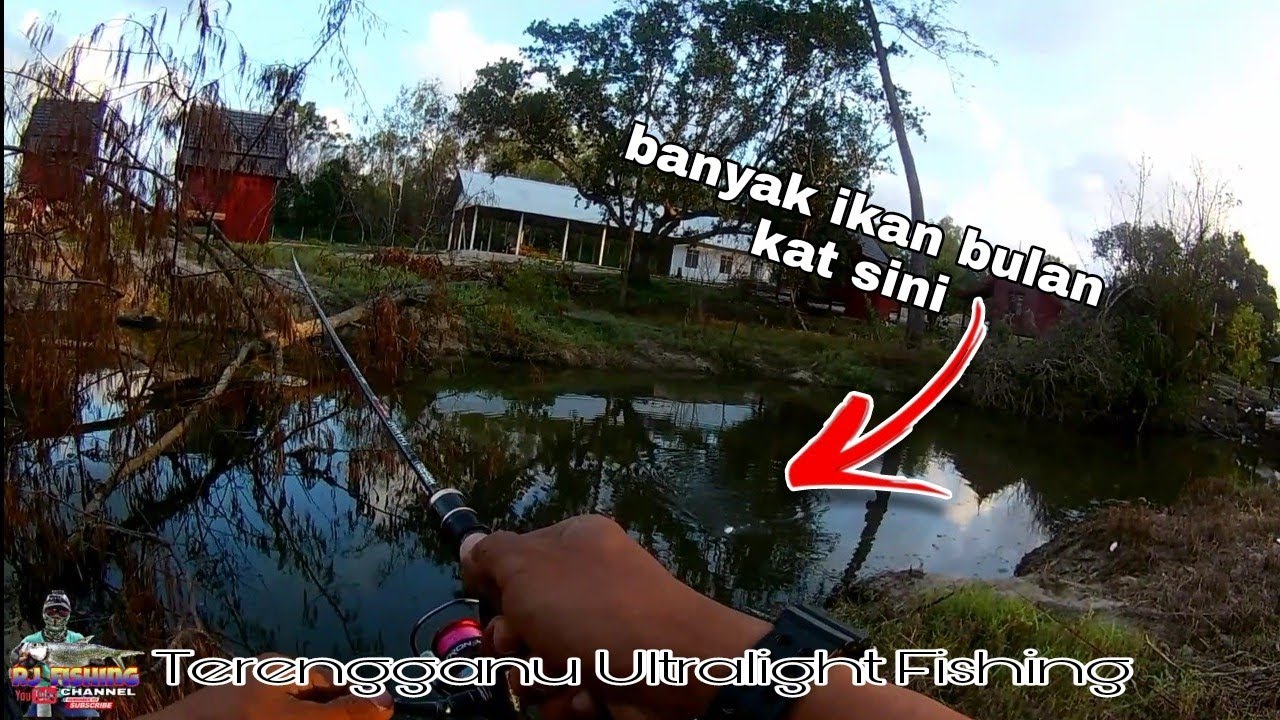 ikan bulan_spot curut_ultralight_seahawk - YouTube
