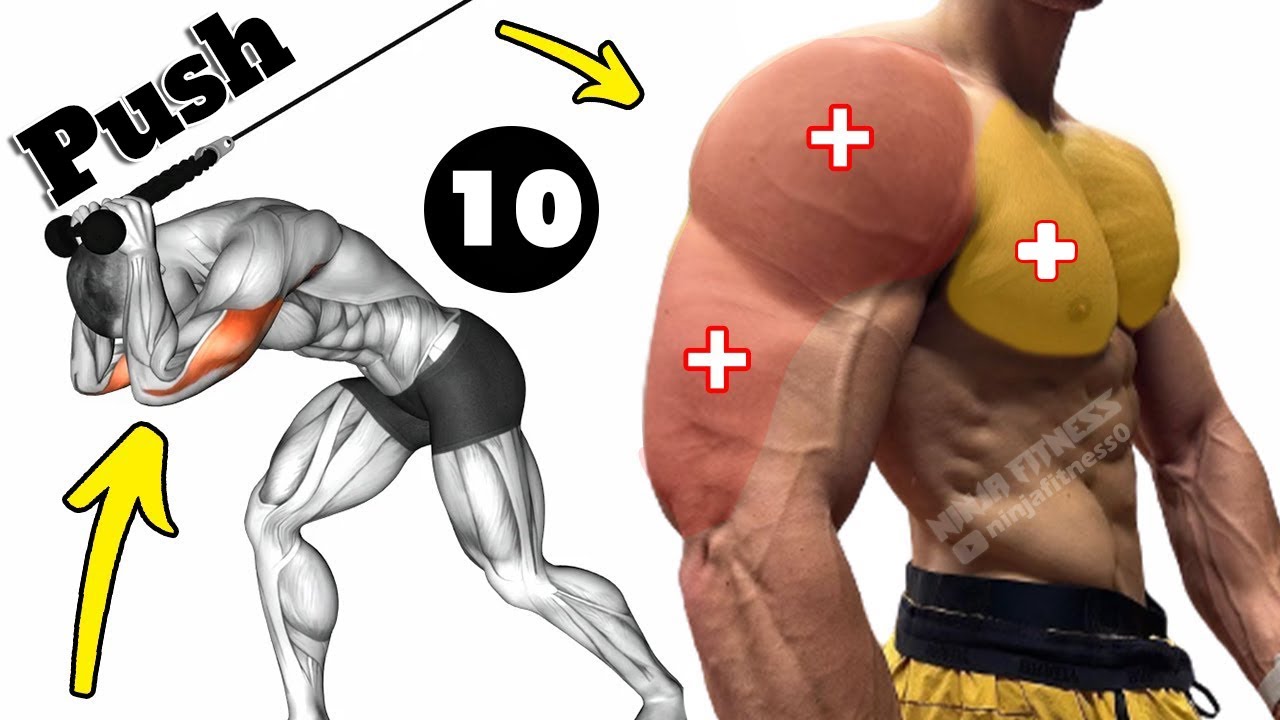 The PERFECT Push Workout | تمرينه من الاخر - YouTube