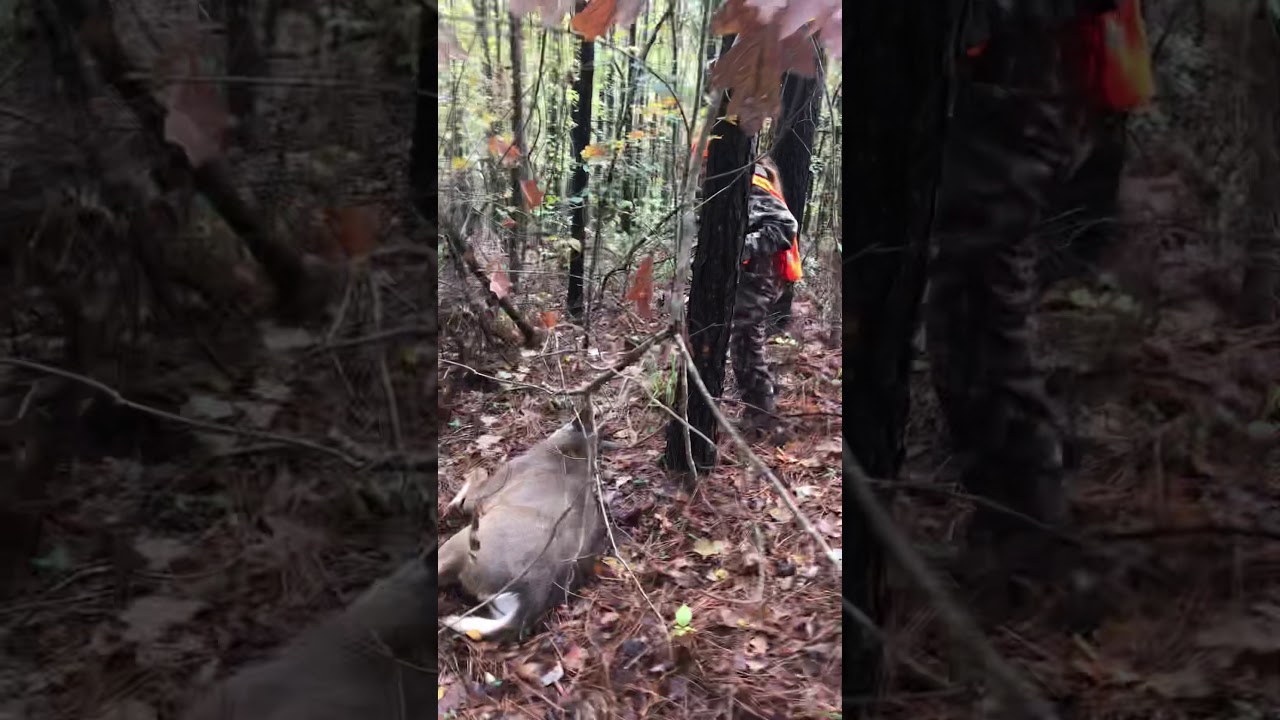 Finding Mary Alice’s Buck - YouTube