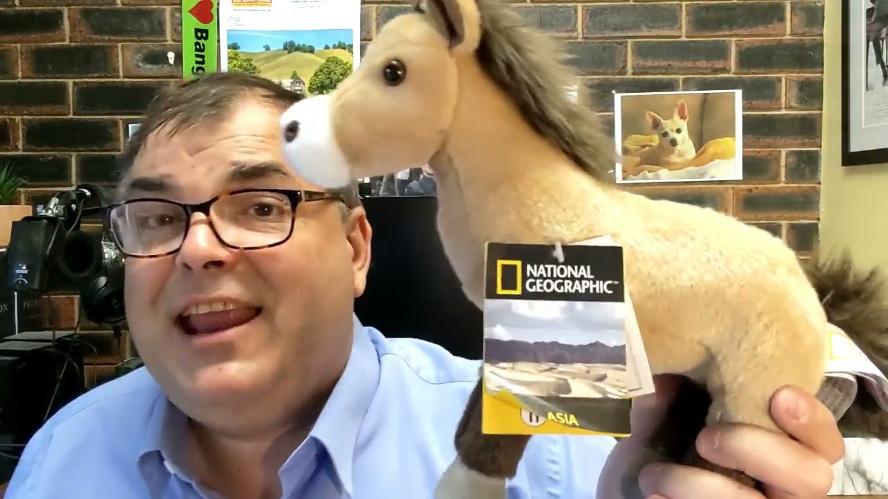 LUXURY HORSES - Who makes the best horse ? Hermes Plush Toy at $800 ...