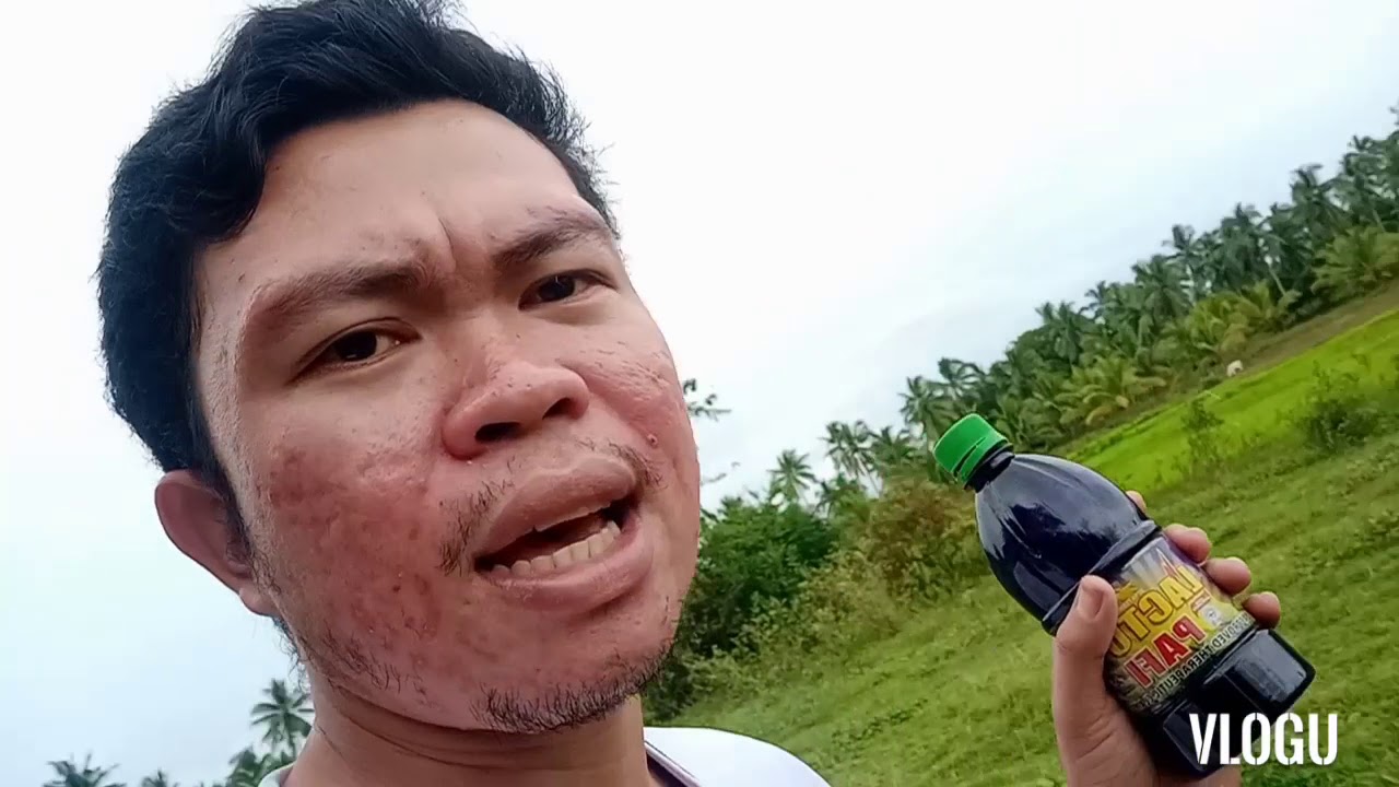 Lacto Pafi #careouranimals #happyfarming - YouTube