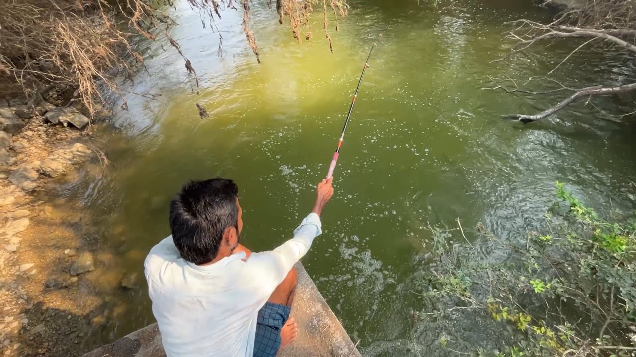 Talapia fishing running water | catching with singal hook | live bait ...