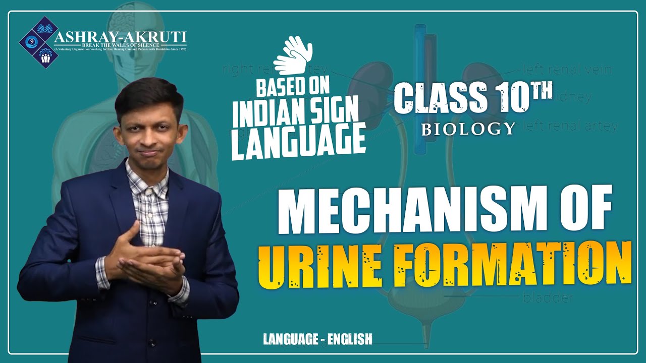 10th Class Biology | Mechanism of Urine formation | Lessons in sign ...