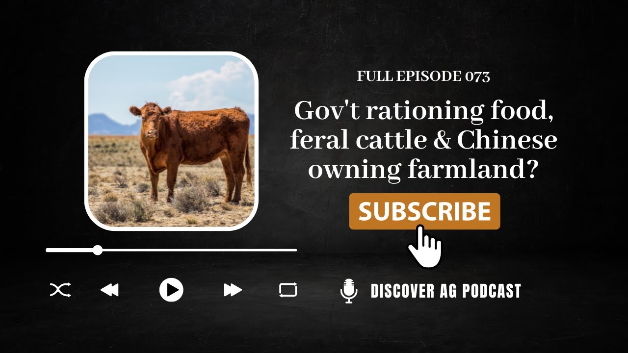 Gov't rationing food, feral cattle & Chinese owning farmland? | Full ...