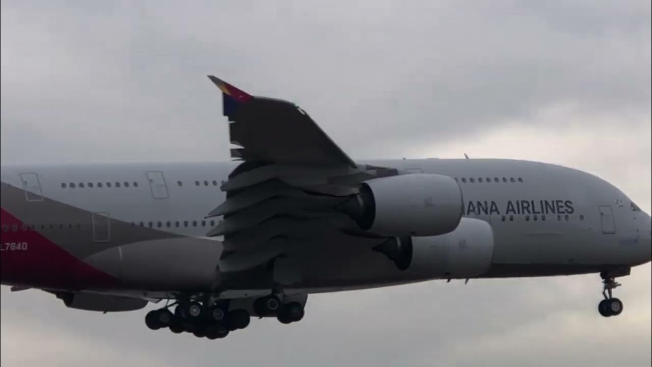 LAX perfect spot to see airplanes landing so low ️ ️🛬🛬 - YouTube