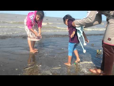 Pantai tanjung baru cibendo ciparage jaya