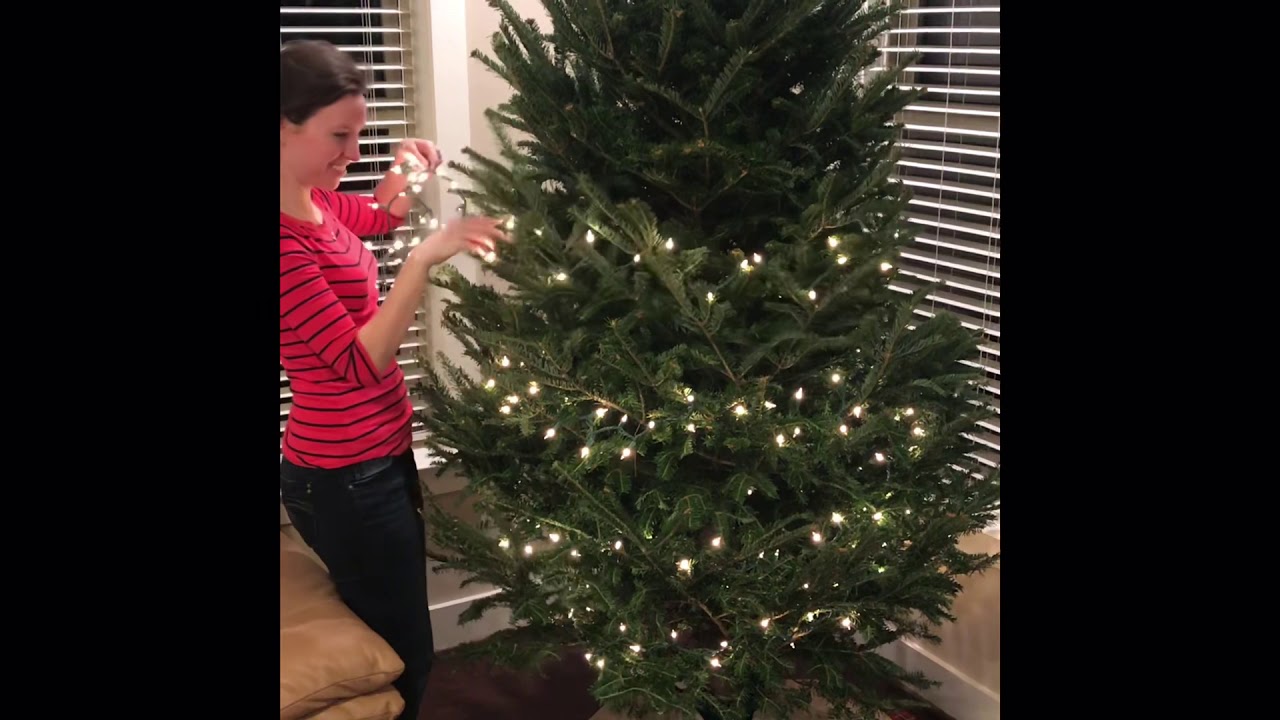 Hallmark Dream Job application - YouTube