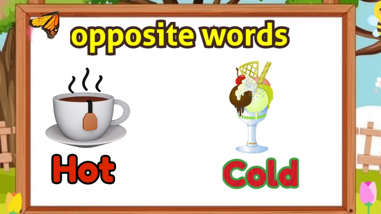 Opposite Words # Learn Opposite Words With Pictures # For All Kids ...