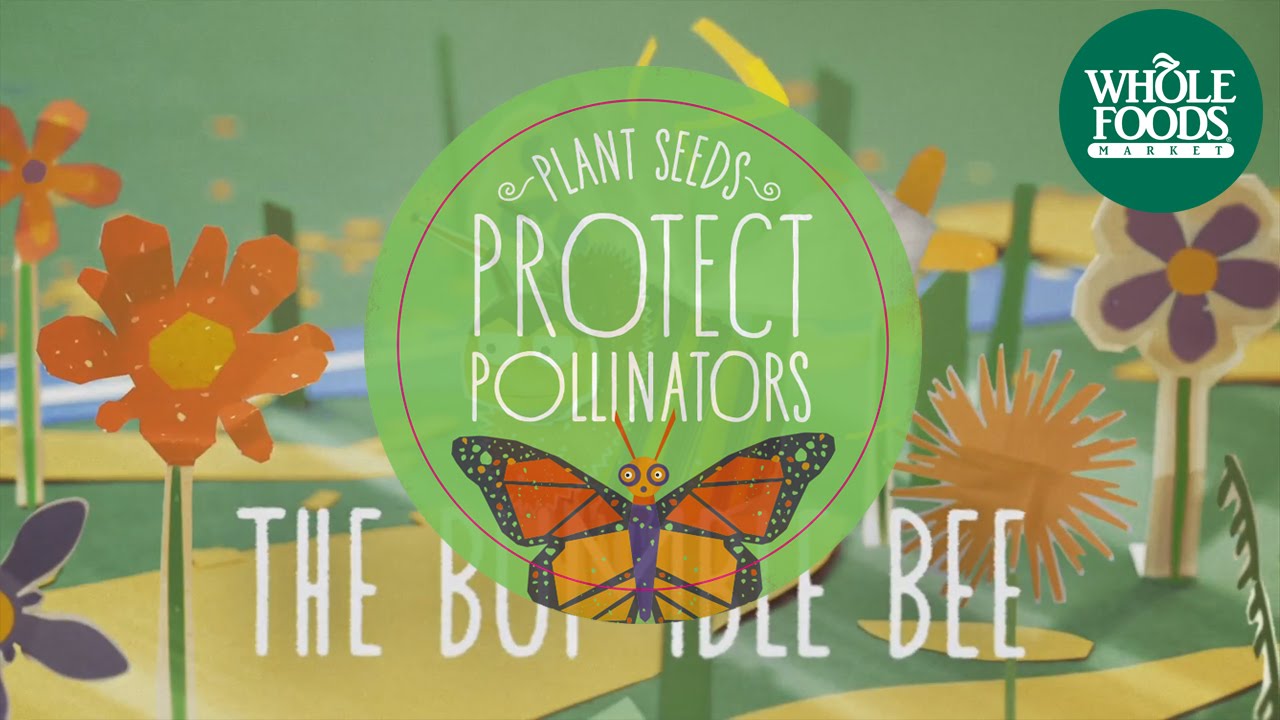 Meet the Bumble Bee I Values Matter | Whole Foods Market - YouTube